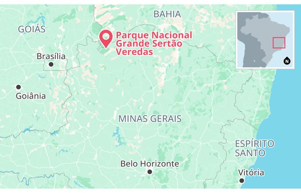 Para fugir do calor no cenário de 'Grande sertão: Veredas', animais ...