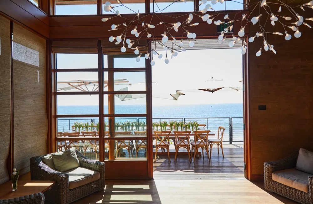 Carolina Ferraz fala do casamento da filha com empresário americano e ...