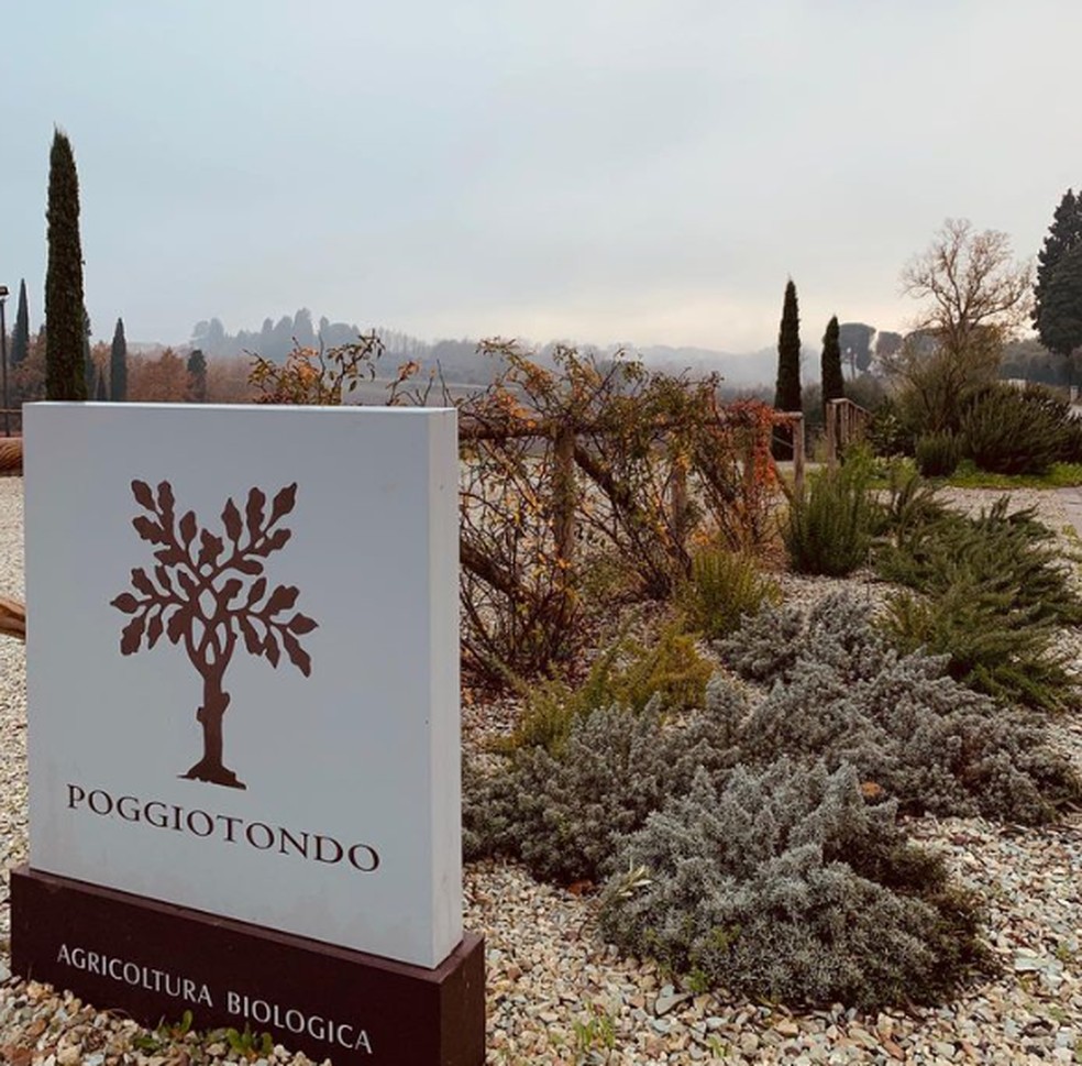 Premiado enólogo Alberto Antonini apresenta vinhos de seus projetos na ...