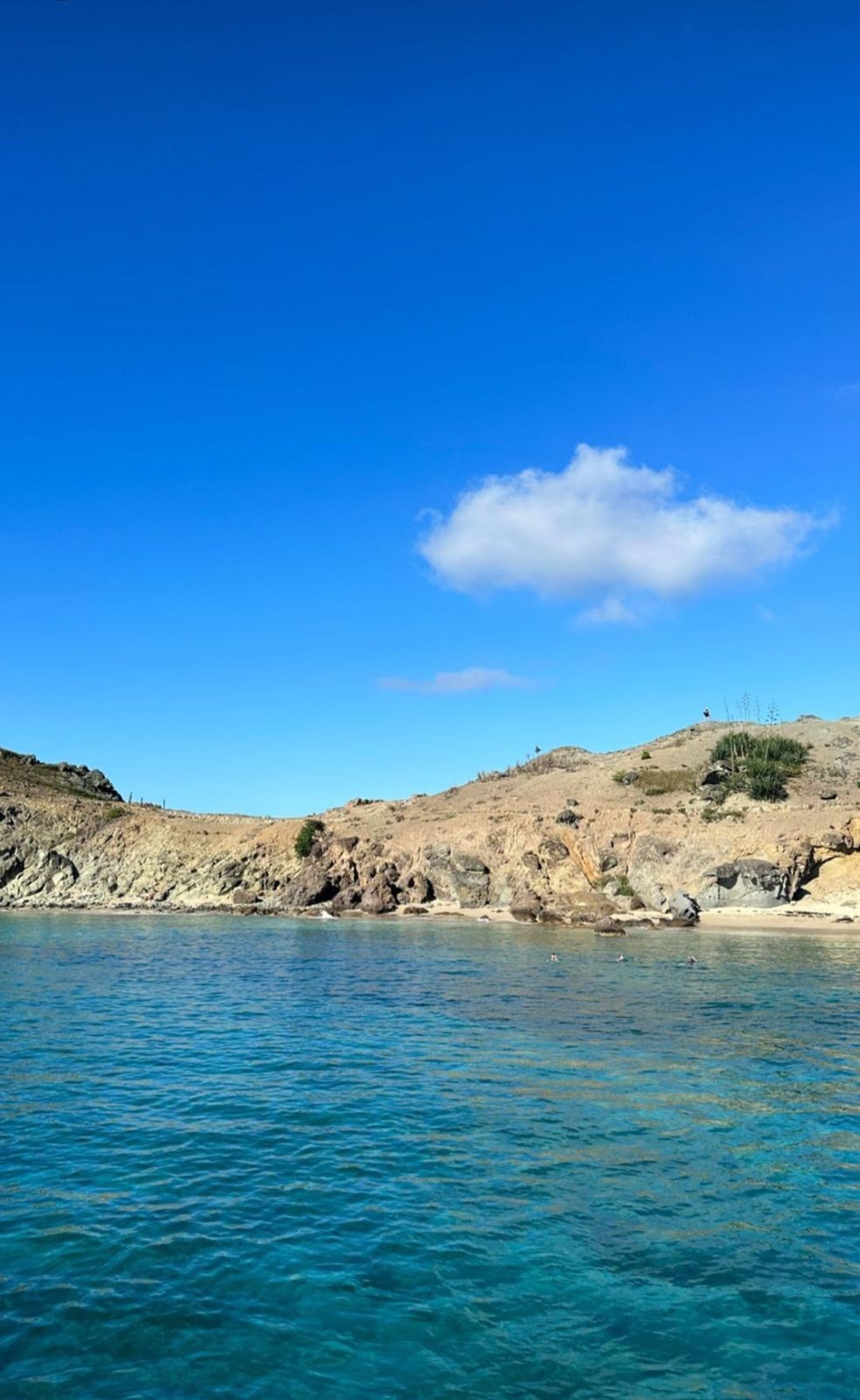 Alice Wegmann posta em resort de luxo no Caribe com diárias de até R ...