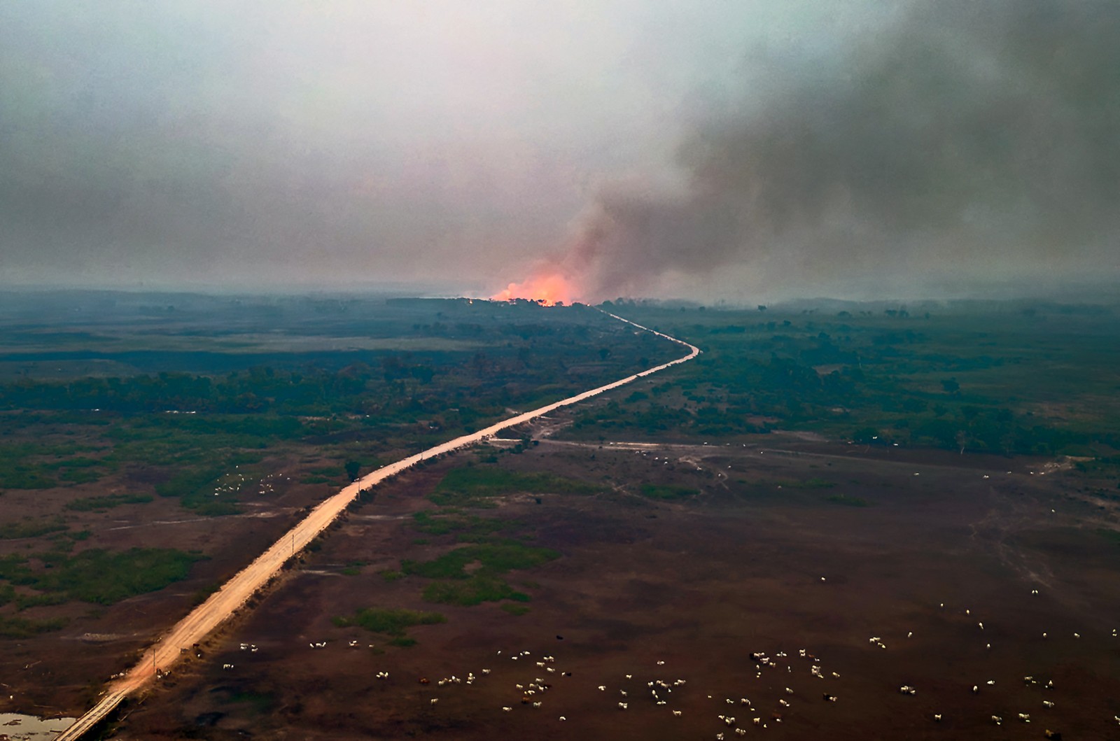 Chuvas No Mt E Ms Reduzem Focos De Incêndios No Pantanal Veja Antes E