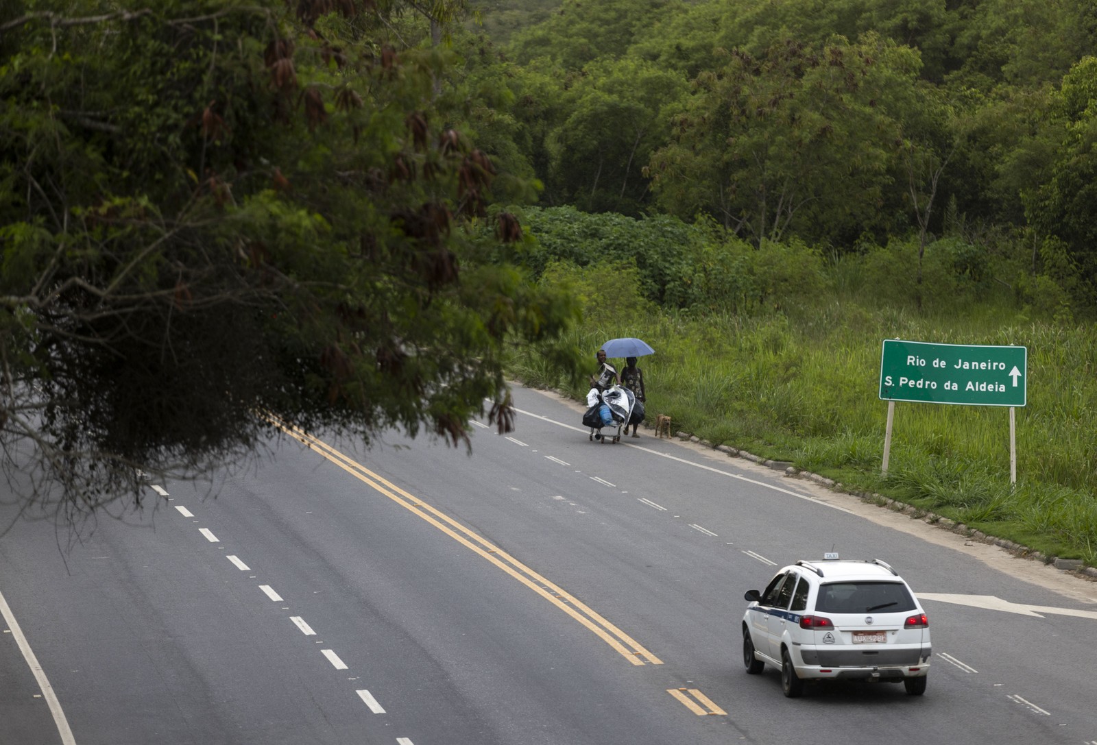 Vai viajar para praia? Veja como estão as rodovias que levam ao mar da ...