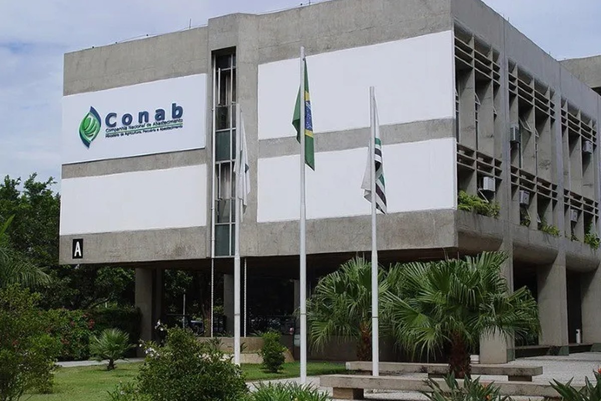 Concurso Conab 2025: Inscrições estão abertas. Salários vão até R$ 8 mil