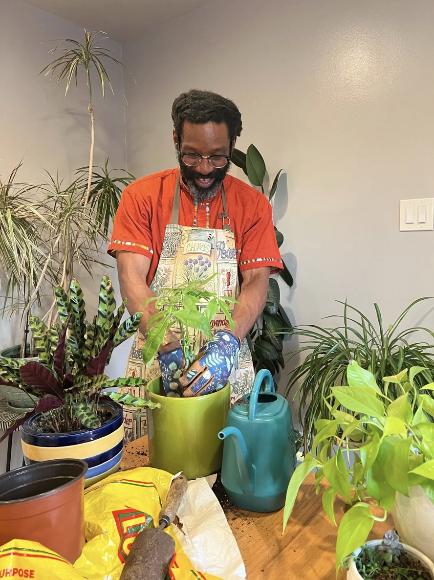 Nos Estados Unidos, 'babás de plantas' ganham a partir de R$ 284 por ...