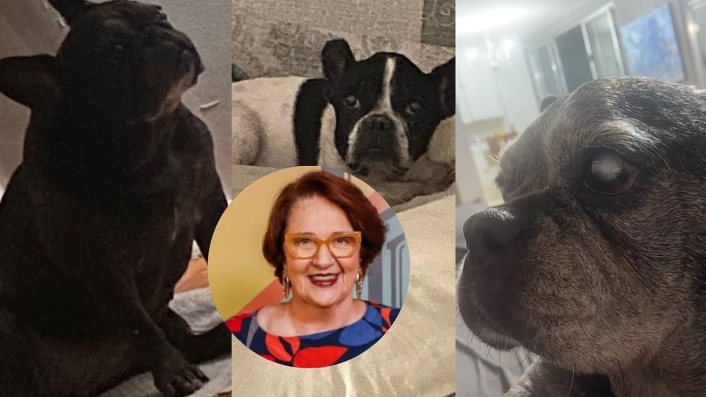 Rosane Gofman fala de 'Êta mundo melhor!' e da oportunidade de trabalhar com a irmã, Betty ...