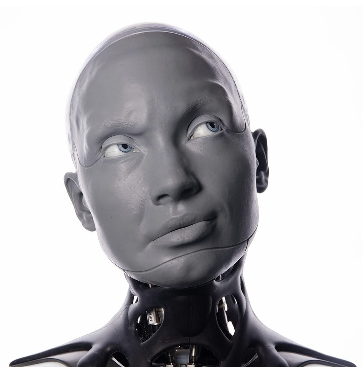 Robô humanoide mais avançado do mundo revela qual será o futuro do ...