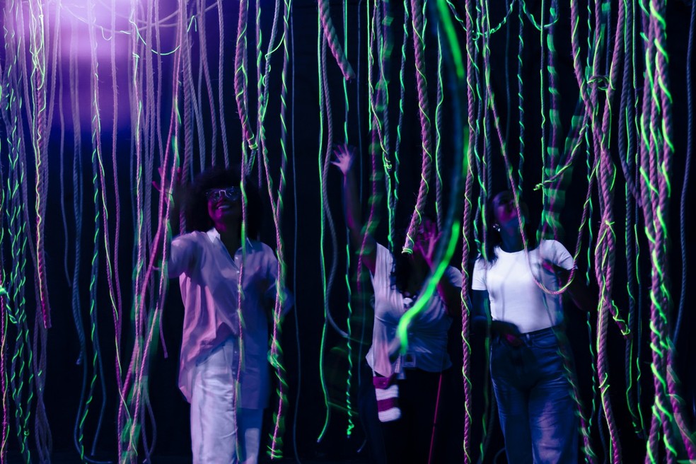 'Sentir mundo': Público vive perspectiva dos insetos em mostra imersiva ...