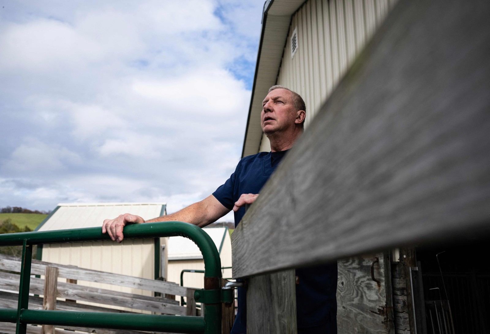 Cirurgiões chineses implantam fígado de porco em humano pela primeira vez