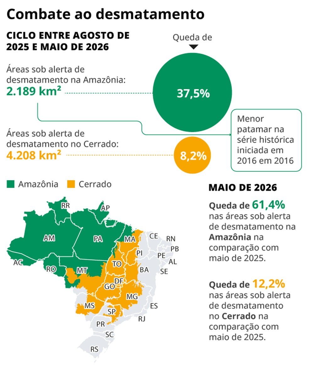 Entenda o que explica a queda no desmatamento mais tímida no Cerrado do ...