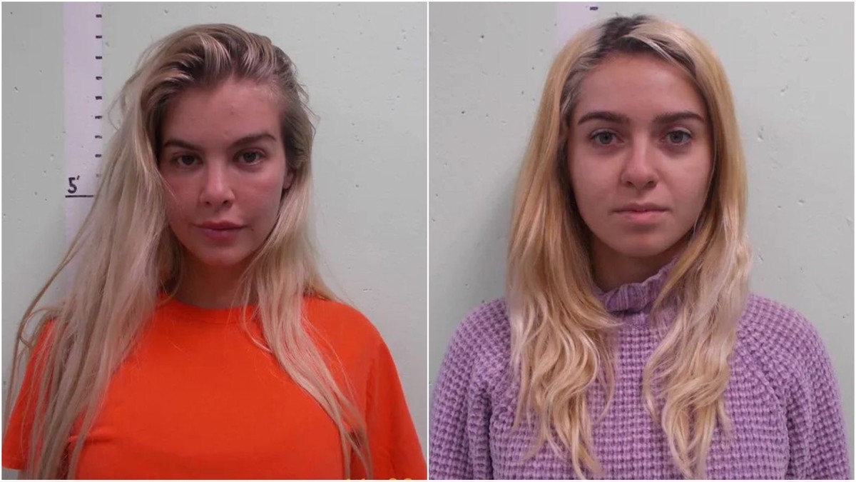 Kat Torres: vítima mostra extrato bancário com transferências de R$ 40 ...