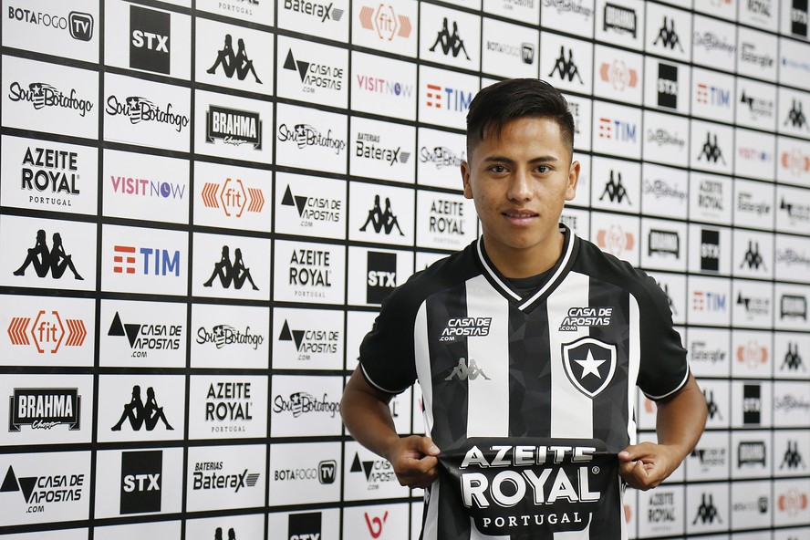 Botafogo é condenado a pagar R$ 244 mil a Lecaros, que atuou 13 vezes ...