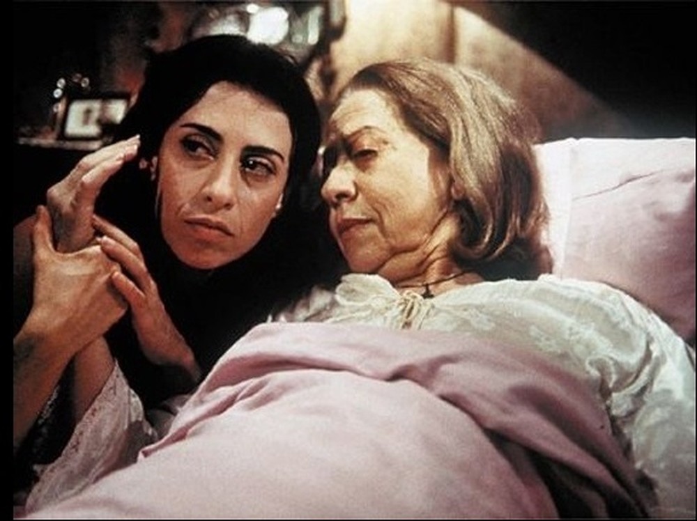 'I'm still here': Revisit the films that bring together Fernanda ...