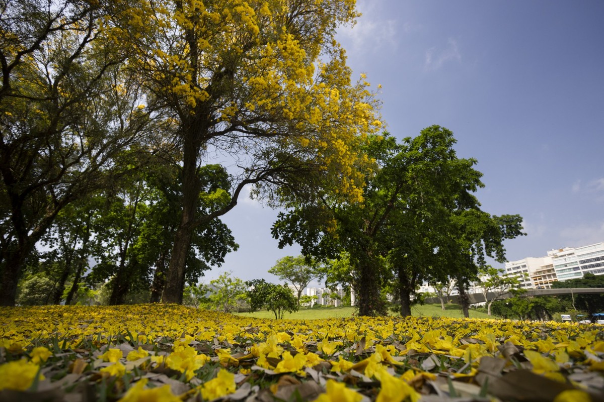 11 formas de entrar na primavera