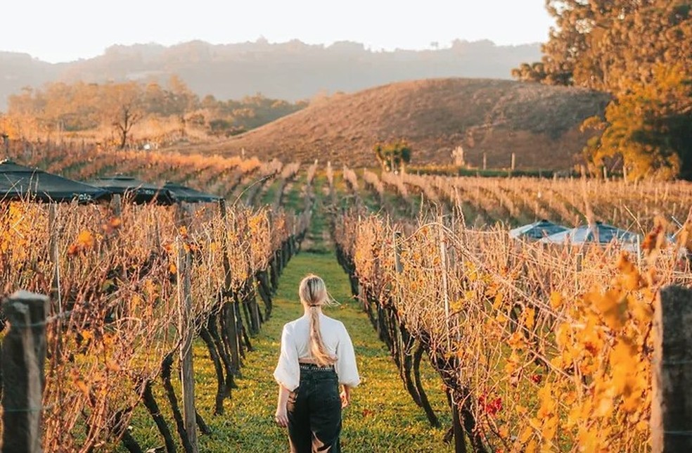 Nova carta de saquês do Elena; Encontros de Vinho no Fluminense ...