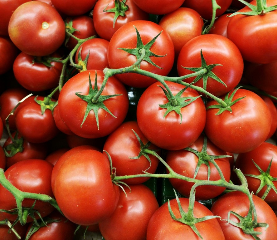 Tomates são recolhidos nos EUA por risco de doença grave e morte ...