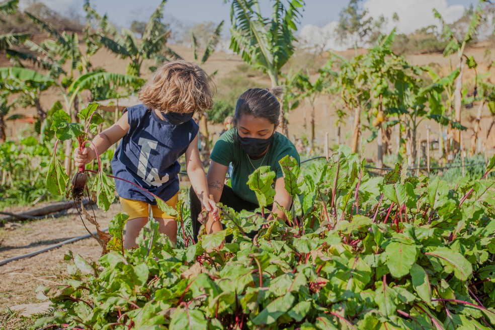 A vida no campo: conheça as rotas de turismo rural de Paty do Alferes ...