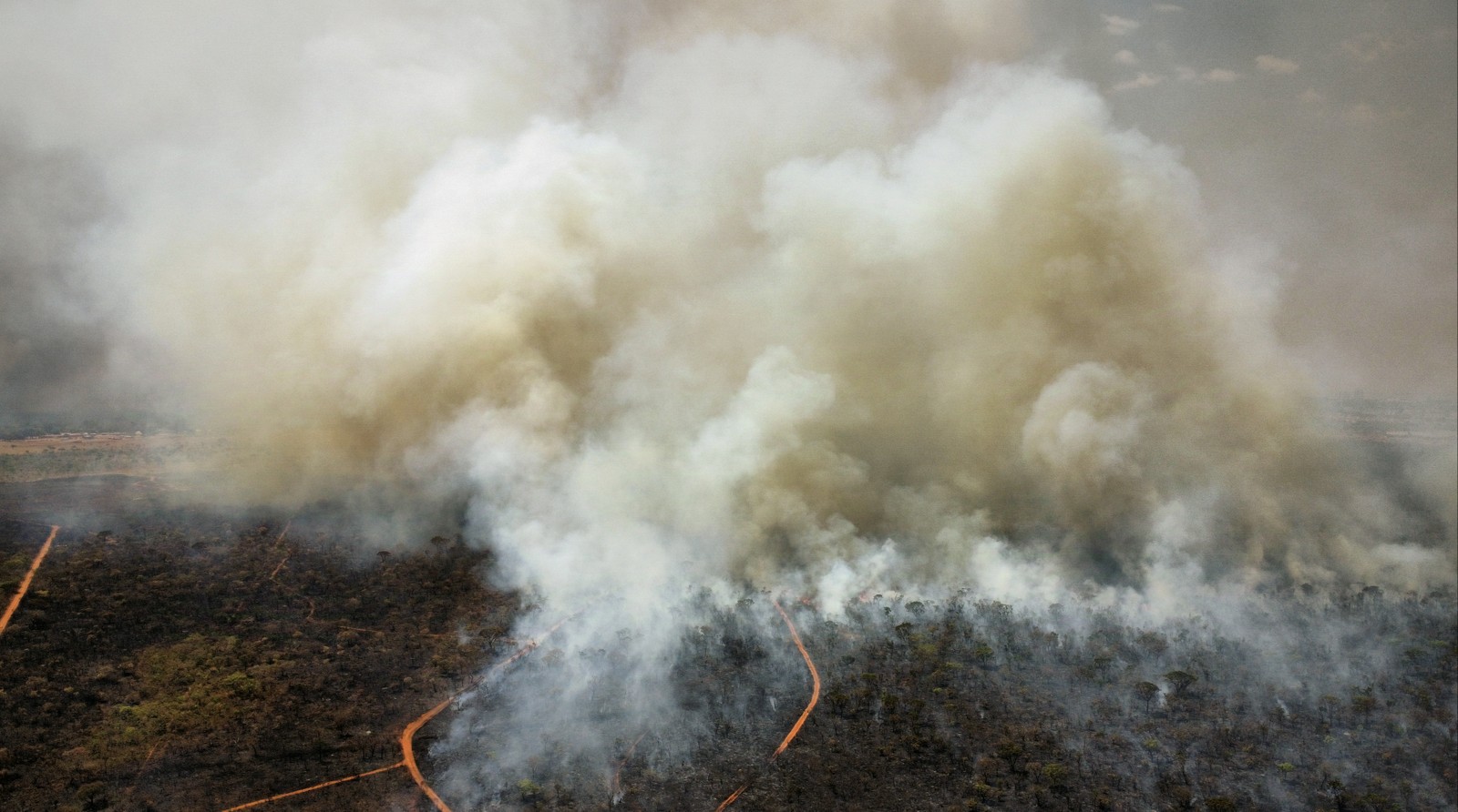 Incêndio que devastou áreas de proteção em Brasília foi provocado por ...