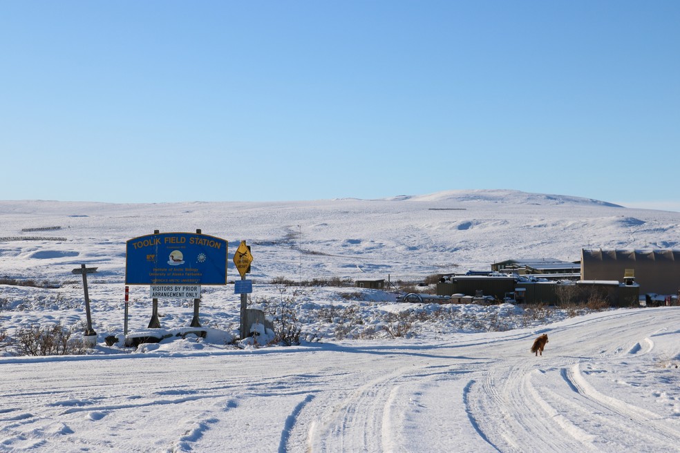 'Cortina de gelo': Sanções contra a Rússia impactam pesquisas ...