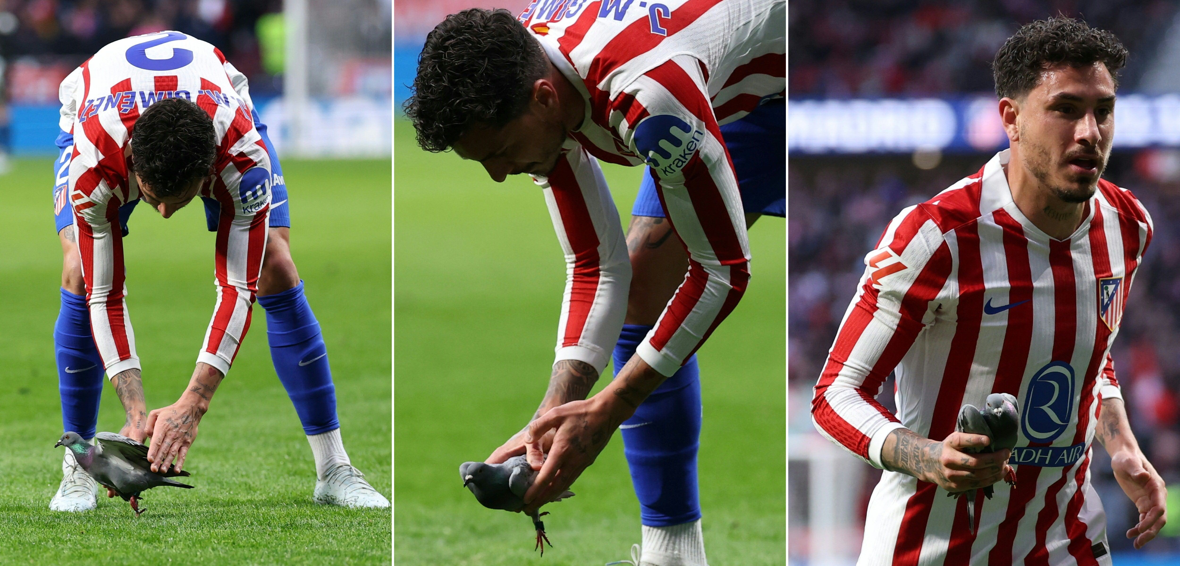 Pombo atingido por bolada é salvo por jogador do Atlético de Madrid ...