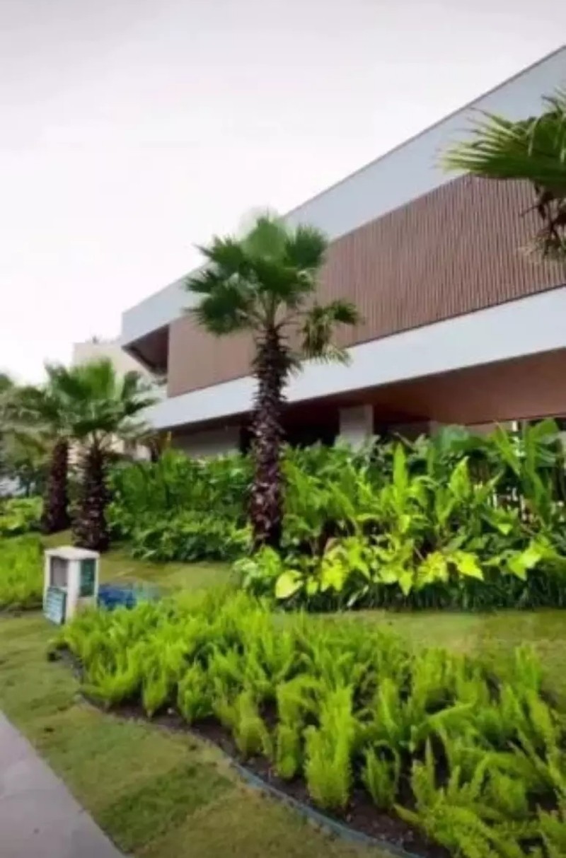 Vinícius Júnior compra clube de futebol de Portugal 'lotado' de ...