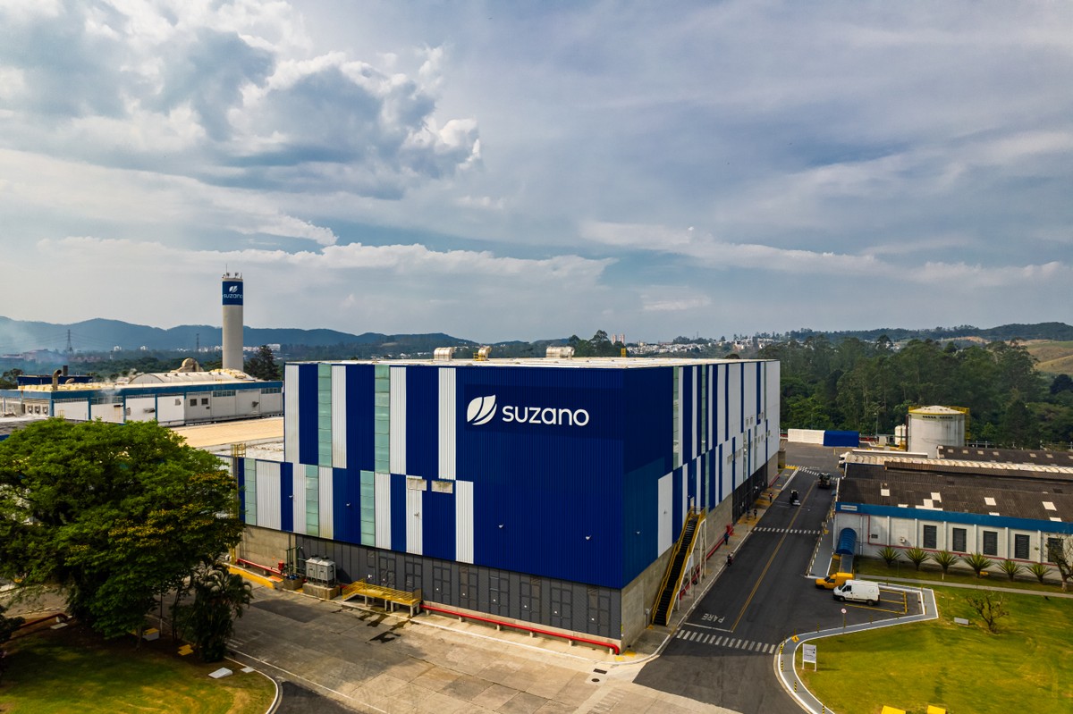 Suzano prepara oferta de US$ 15 bi pela International Paper, diz ...