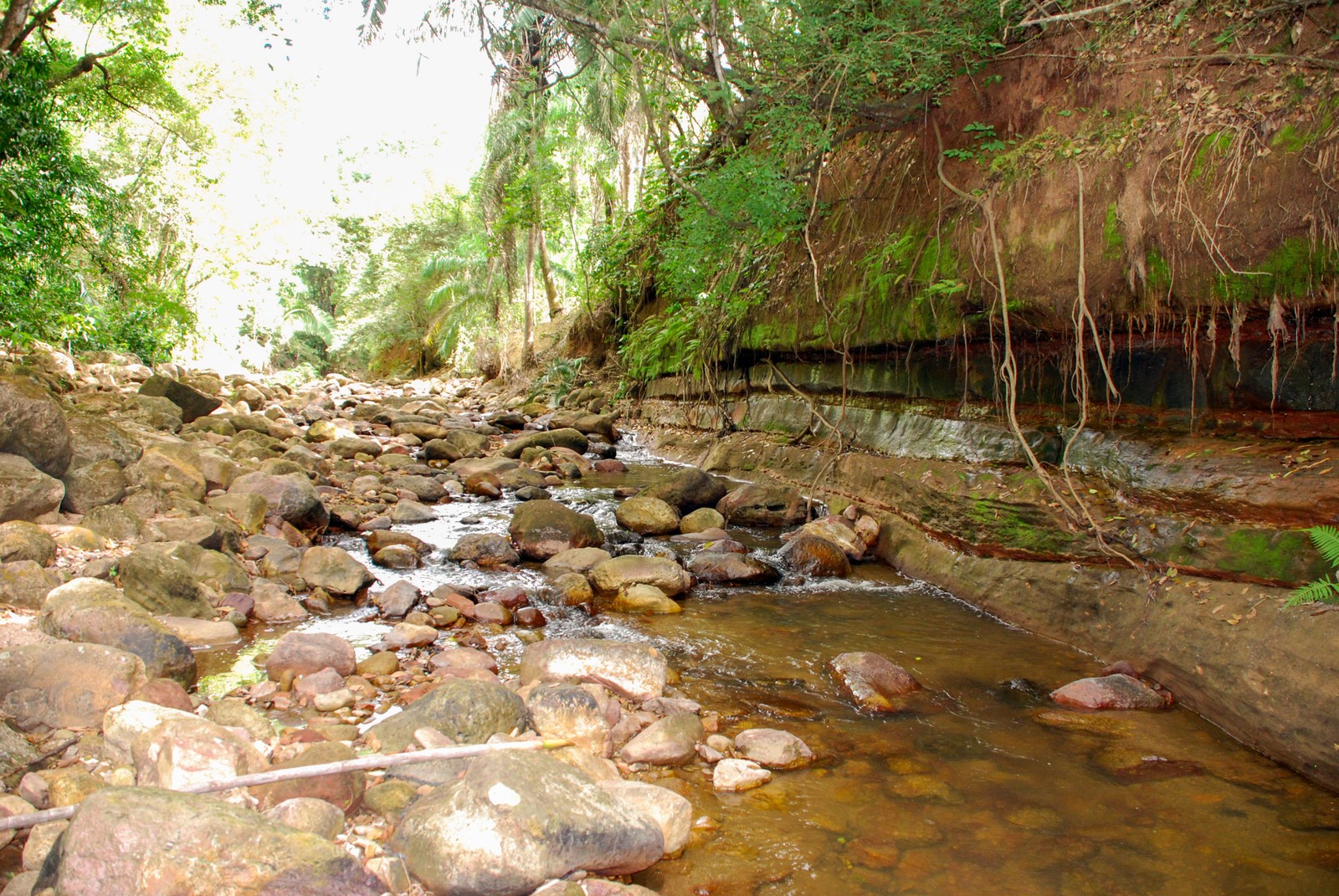 Geoparque Araripe: conheça os principais pontos de visitação da terra ...