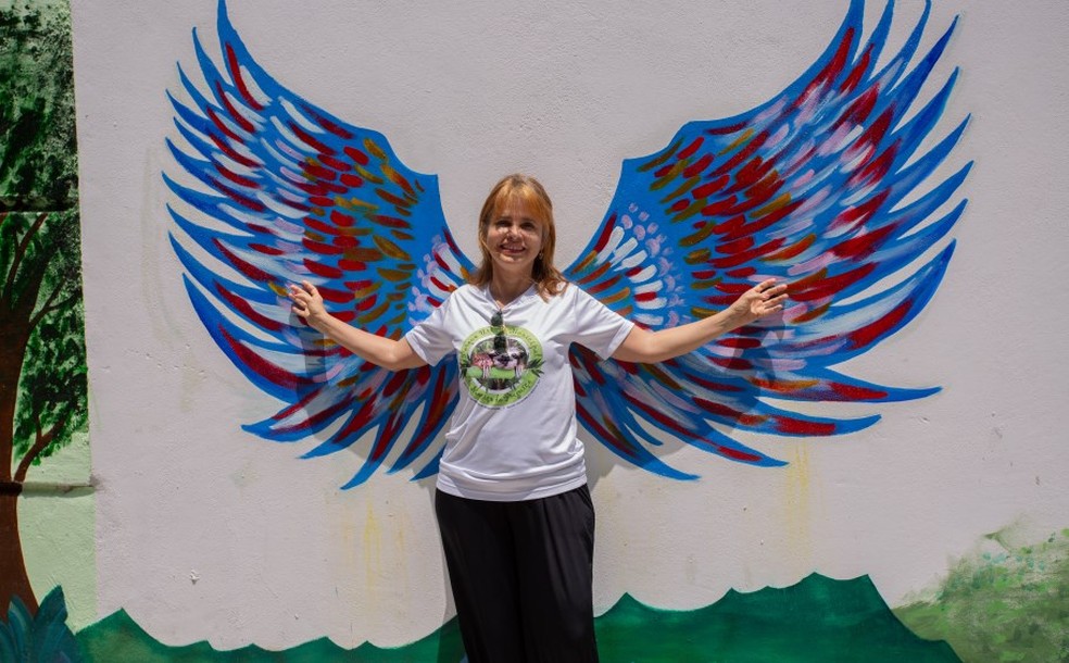 Com vista para o Pão de Açúcar e o Cristo, Parque do Maciço da Preguiça ...