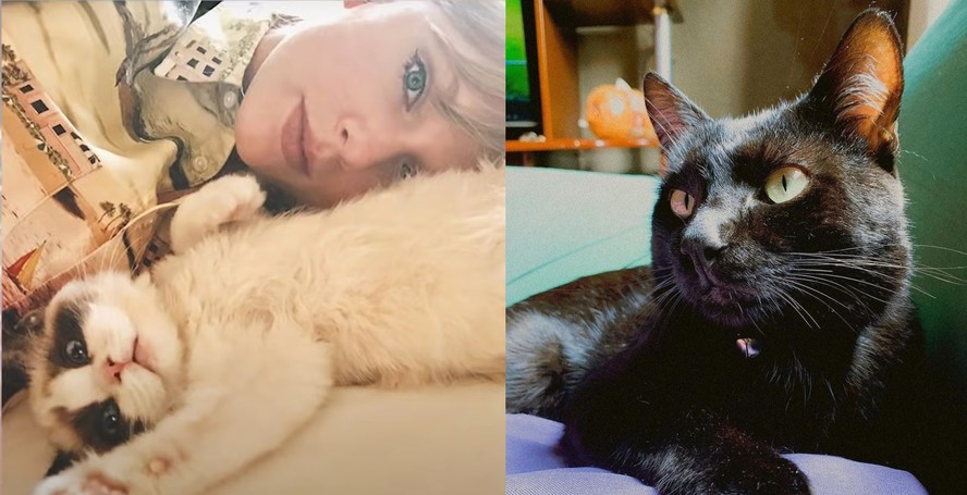 Fã de Taylor Swift que morreu tinha gato com o mesmo nome de pet da ...