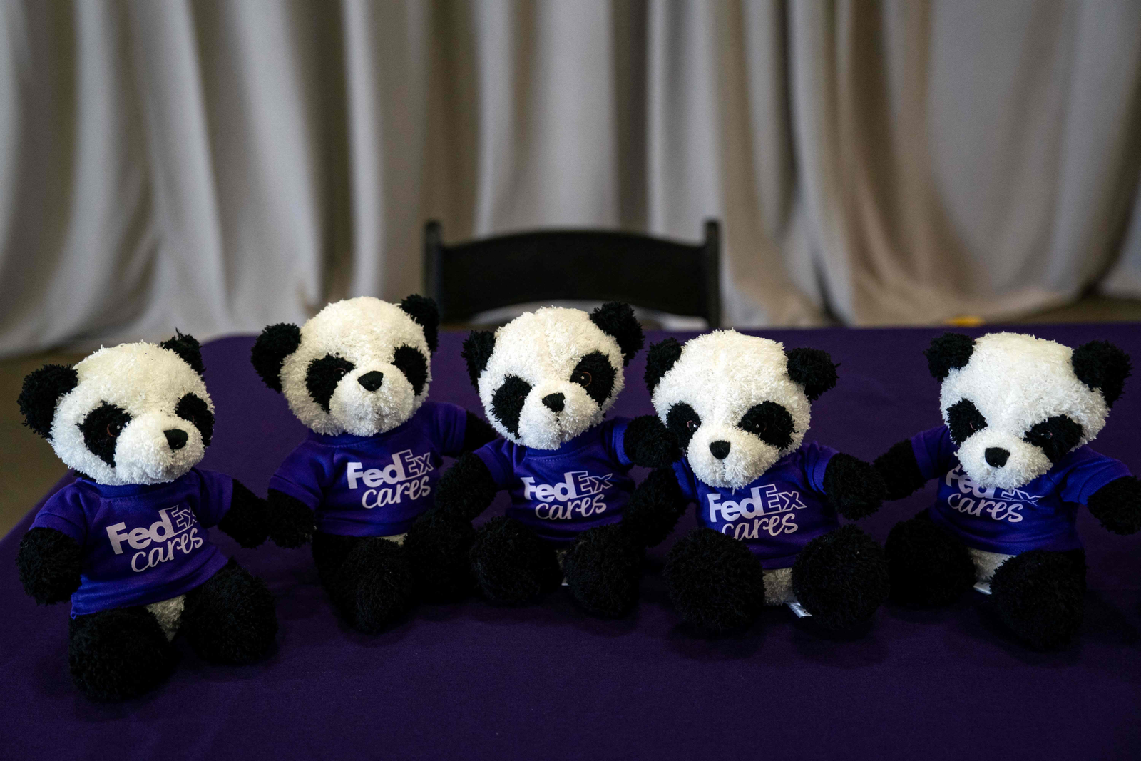 China envia ursos panda aos EUA em acordo para reprodução e pesquisa ...