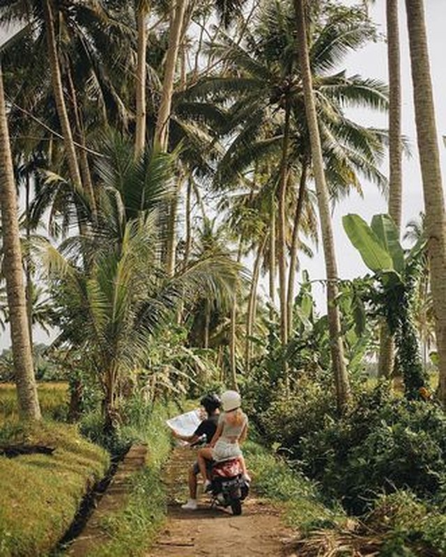 Sinal fechado para as motos em Bali? Entenda por que o governo da ilha ...