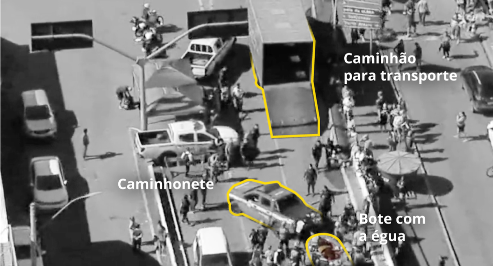 Entenda em 7 passos o resgate do cavalo ilhado em cima de telhado por ...
