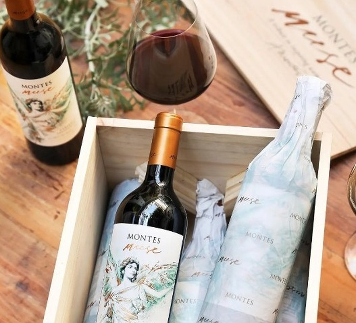 Muse: Viña Montes lança vinho tinto com potência que homenageia as ...