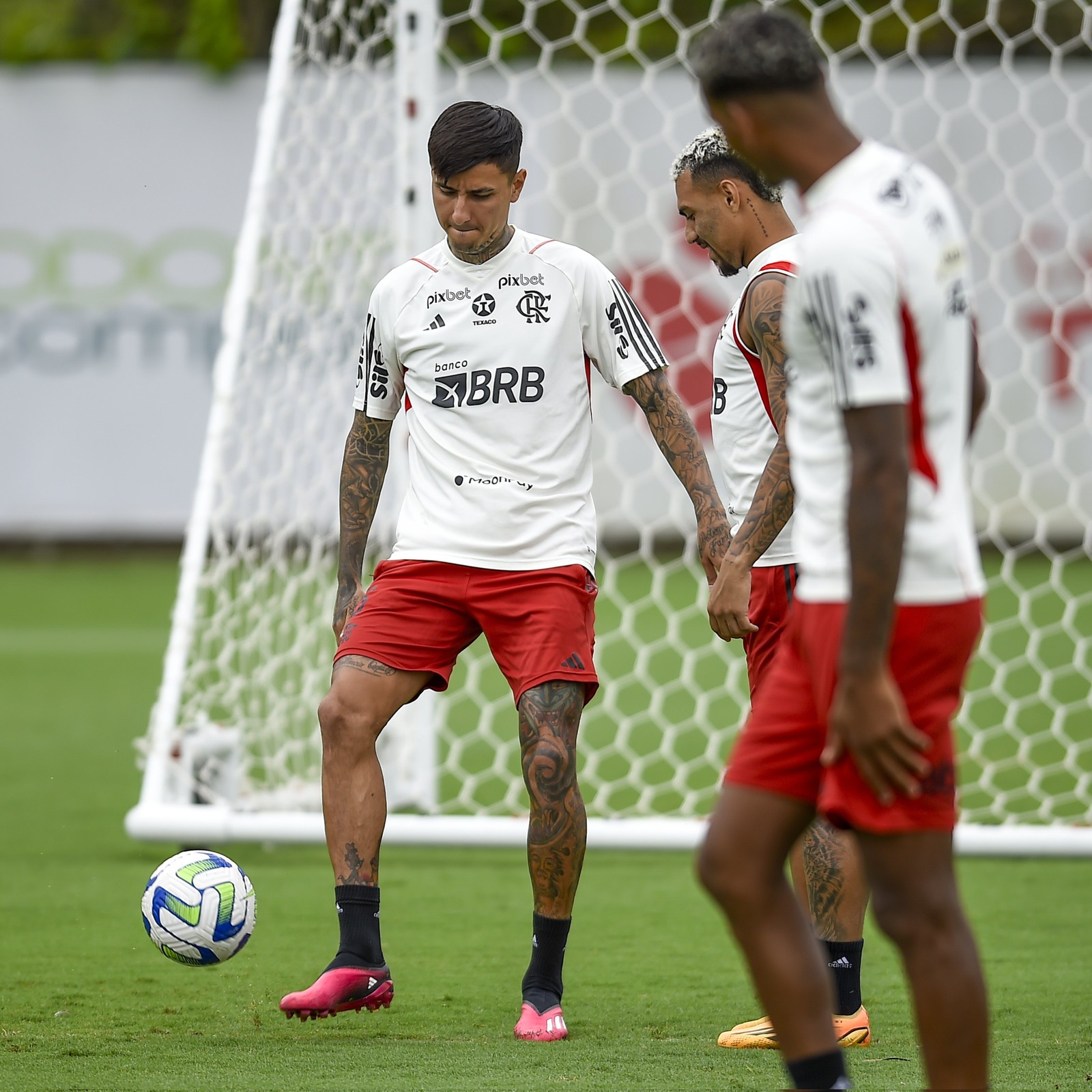 Quem é quem na comissão técnica que Tite levará para o Flamengo