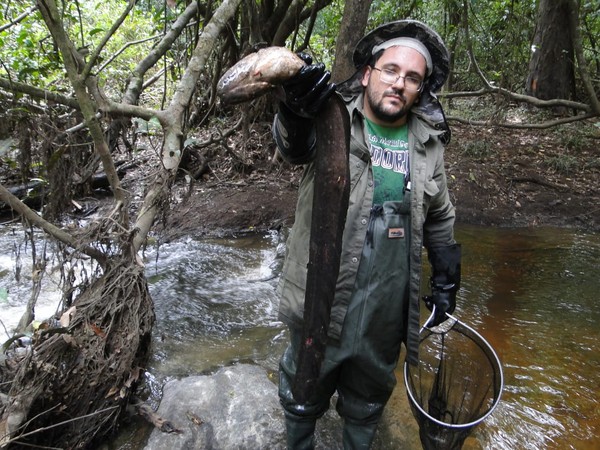 Conheça animais de rio na Amazônia que são perigosos ou de aparência ...