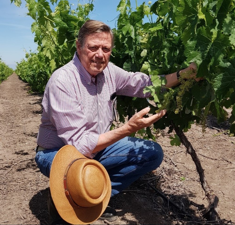 Muse: Viña Montes lança vinho tinto com potência que homenageia as ...