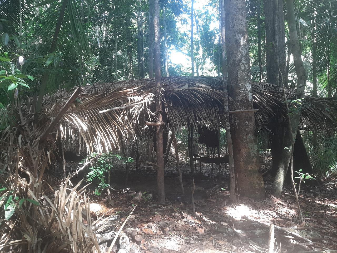 Governo descumpre decisão do STF em demarcar terra indígena com ...