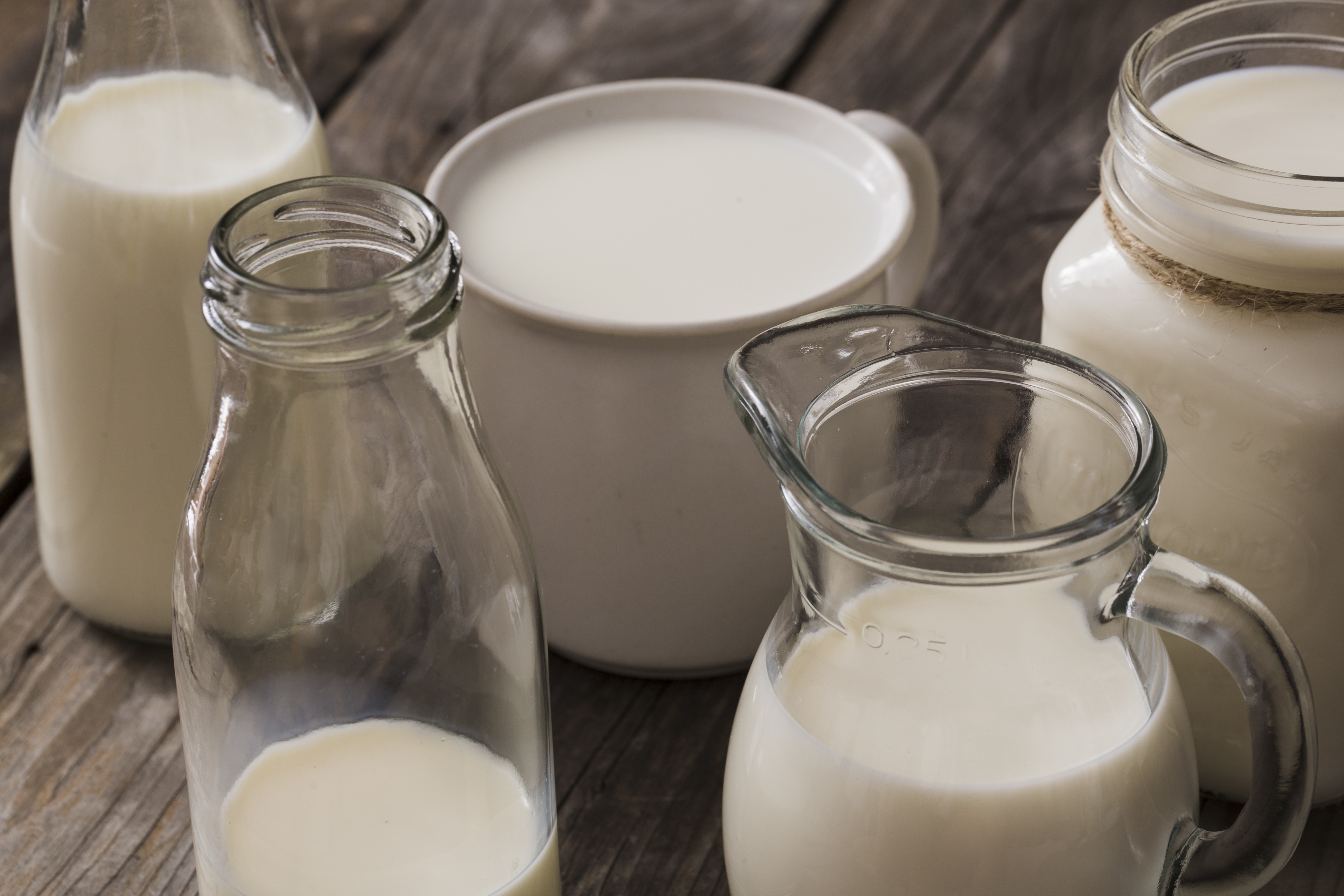 Vacas X plantas: qual leite oferece os melhores benefícios para a saúde?