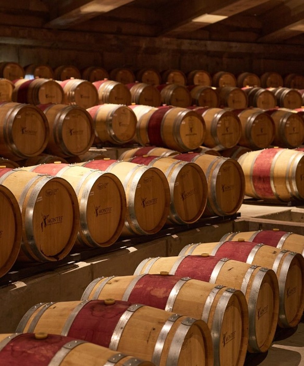 Muse: Viña Montes lança vinho tinto com potência que homenageia as ...