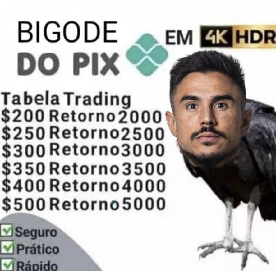 'Bigode do pix': Golpe sofrido por jogadores do Palmeiras rende memes ...