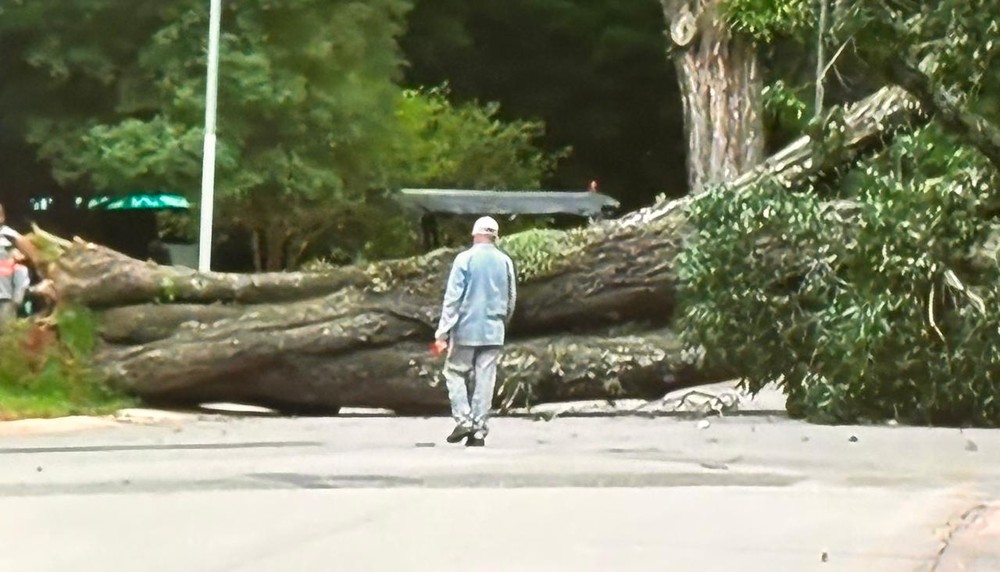 Video bokep streaming