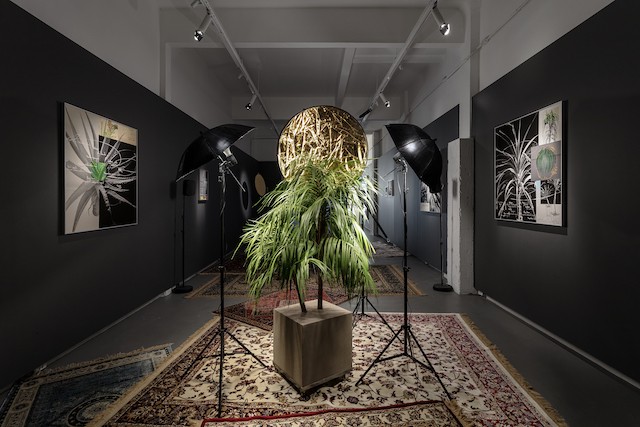 Tradição do retrato é abordada em diferentes linguagens por Patricia ...