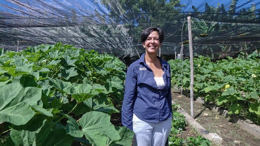 Eventos climáticos extremos ampliam insegurança alimentar e desafiam ...
