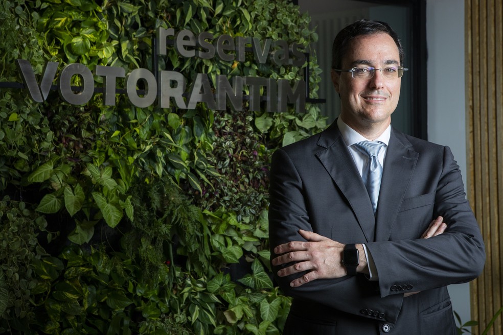 'Provamos que é possível gerar negócios com a floresta em pé', diz CEO ...