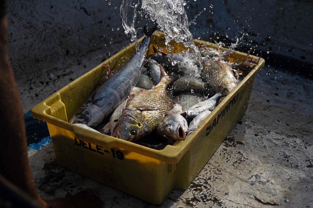 O que o glitter tem a ver com a bomba atômica? Segredo da indústria levanta teoria da ...