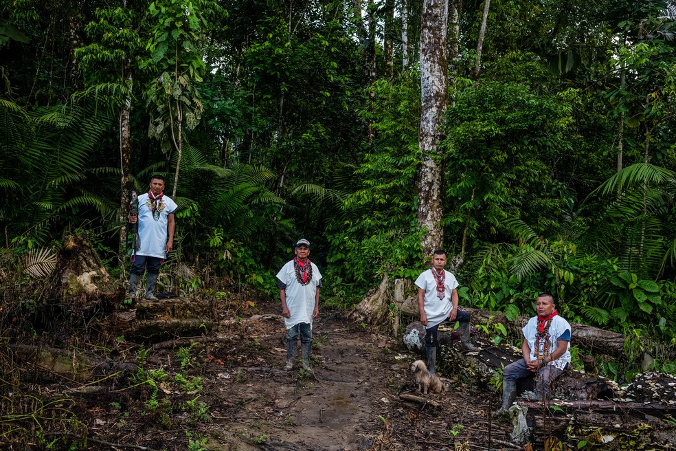 Na Amazônia, uma agência da ONU tem uma missão ecológica, mas seus ...