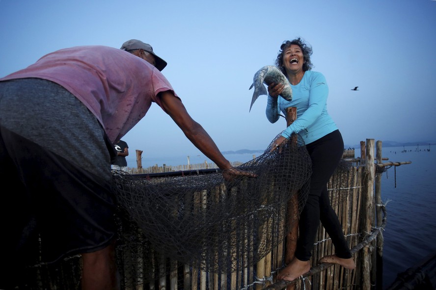 Pescadoras na Baía de Guanabara: Mulheres ganham protagonismo e já ...