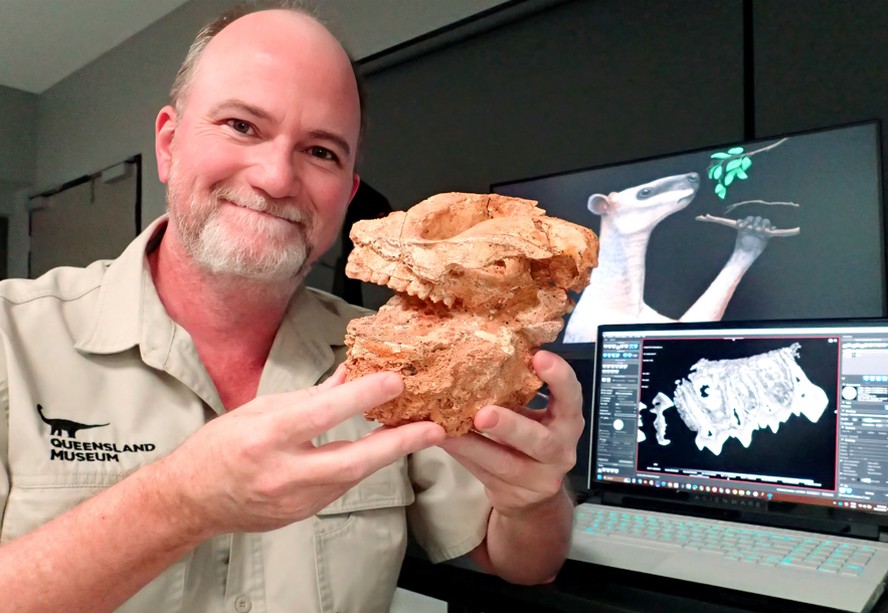 'Paleo Big Brother': Nova técnica revela como cangurus gigantes ...