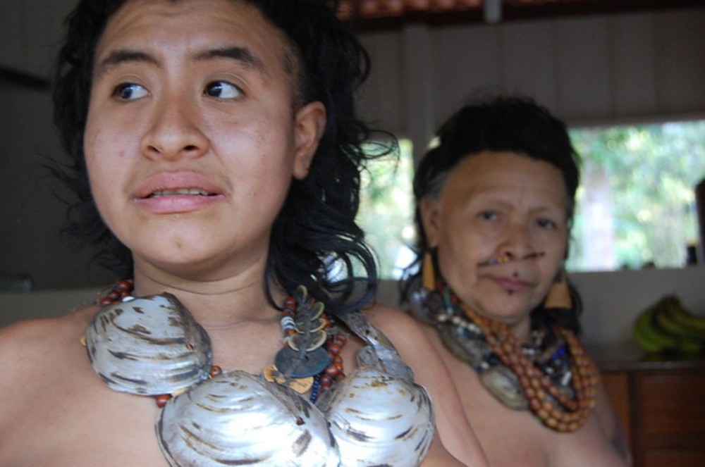 O grito de vida que venceu o silêncio do genocídio: nasce o primeiro ...