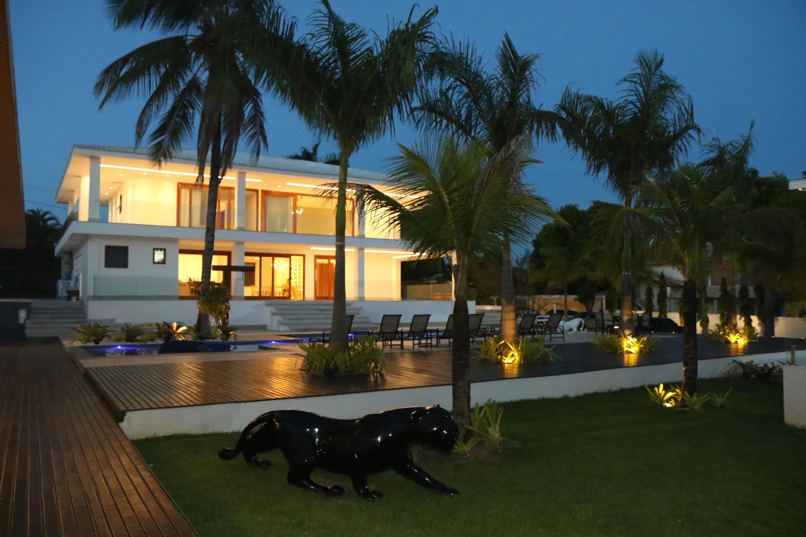 Nicole Bahls detalha fisioterapia em pavoa de estimação após animal ...