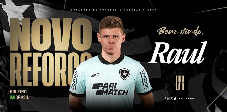 Botafogo anuncia a contratação do goleiro Raul Steffens, destaque do ...